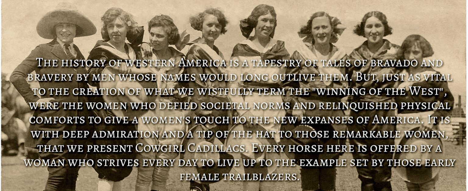 Cowgirl Cadillacs - Horses from Ladies, for Ladies